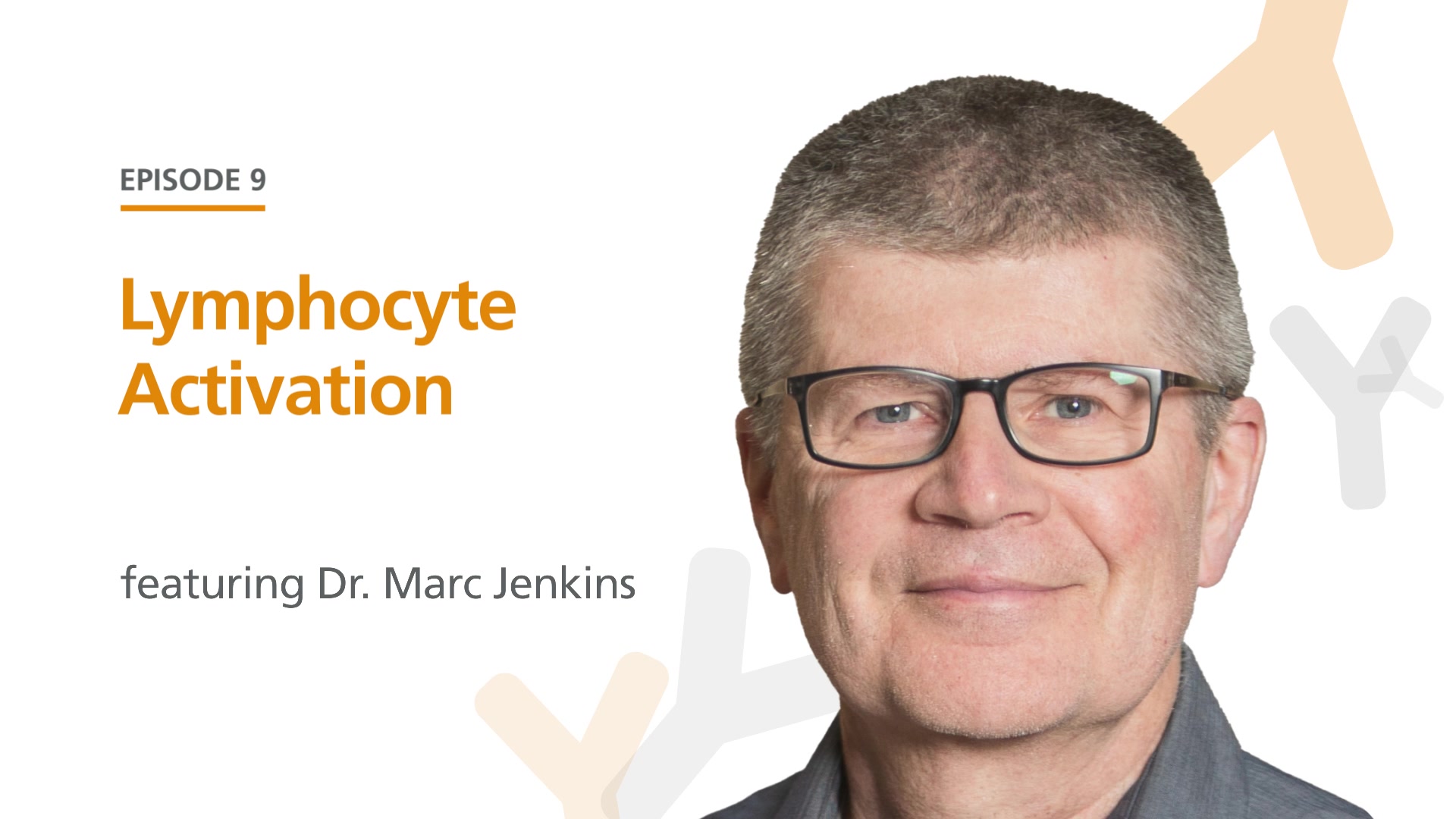 Ep. 9: "Lymphocyte Activation" Featuring Dr. Marc Jenkins - The Immunology Podcast