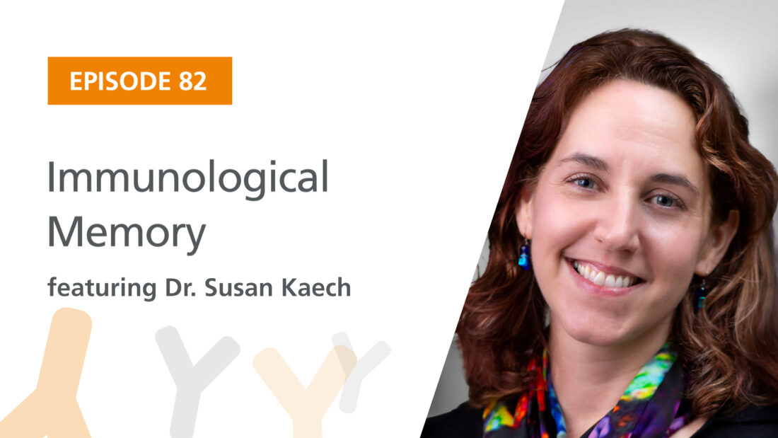 Ep. 82: "Immunological Memory" Featuring Dr. Susan Kaech - The ...