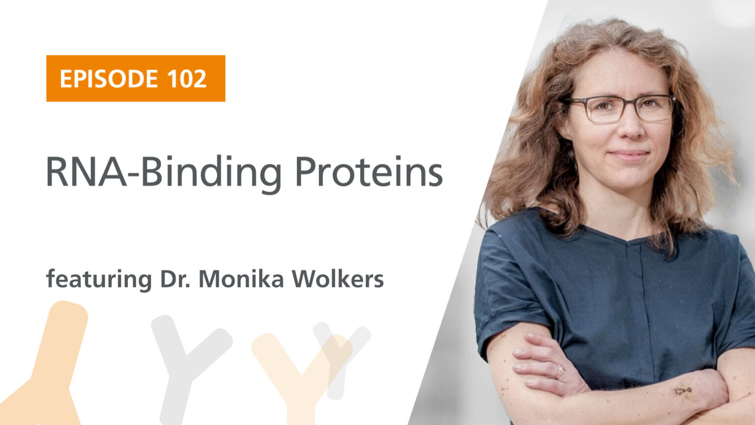 Ep. 102: "RNA-Binding Proteins" Featuring Dr. Monika Wolkers - The ...